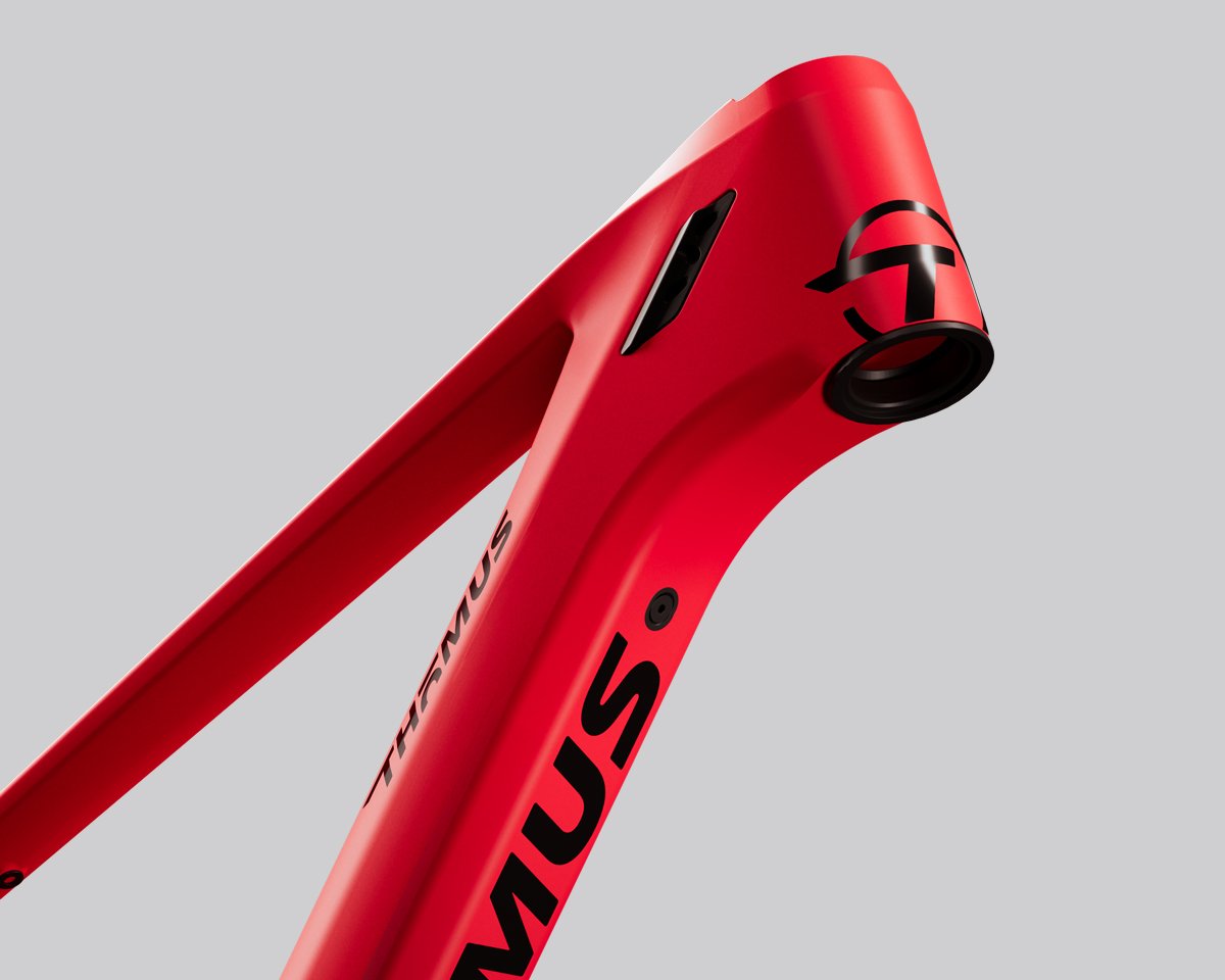 Thömus | Lightrider E Max